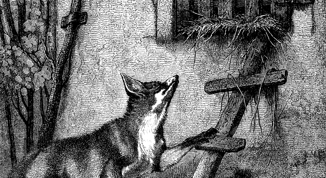 Lectionary blog: A fox is loose in the henhouse - Living Lutheran