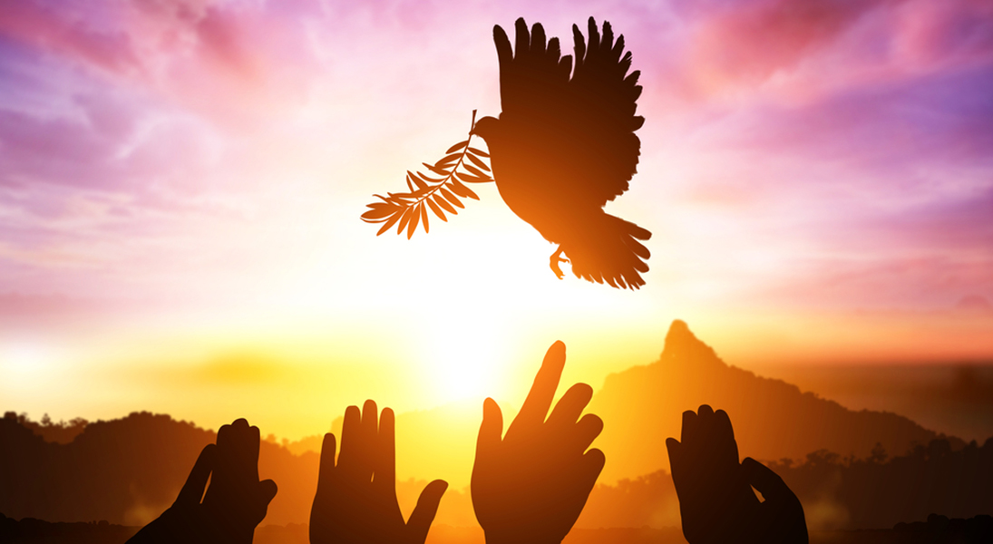 November 20 - Living Lutheran