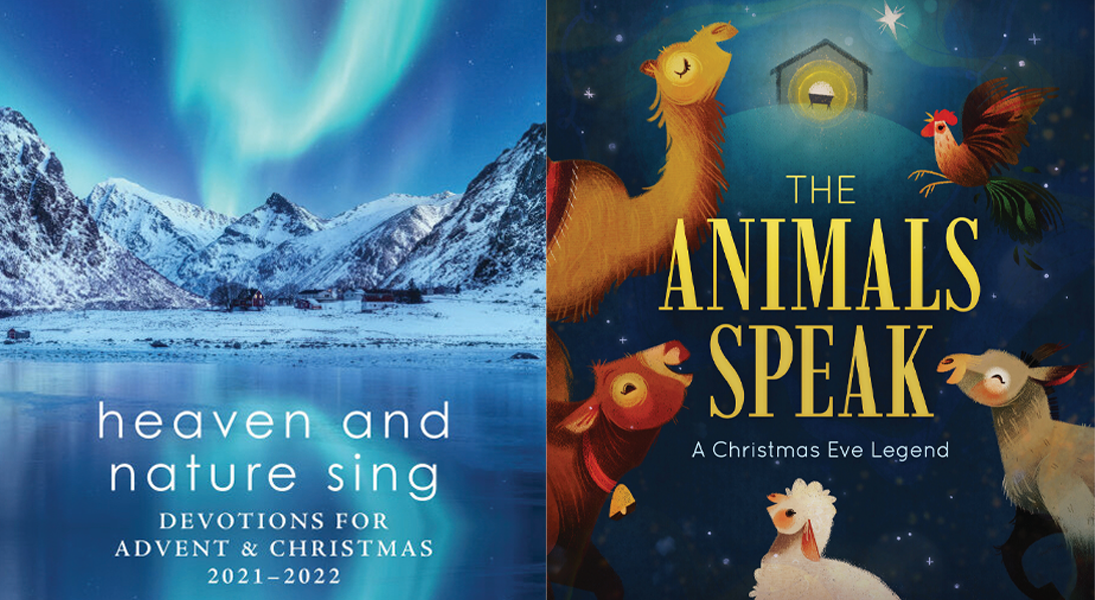 Highly recommended: Resources for Advent, Christmas and Epiphany ...